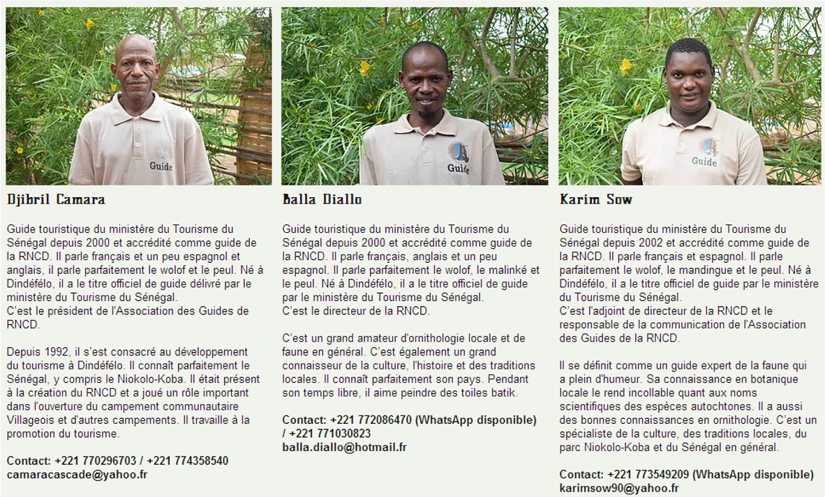 Guides – DINDEFELO